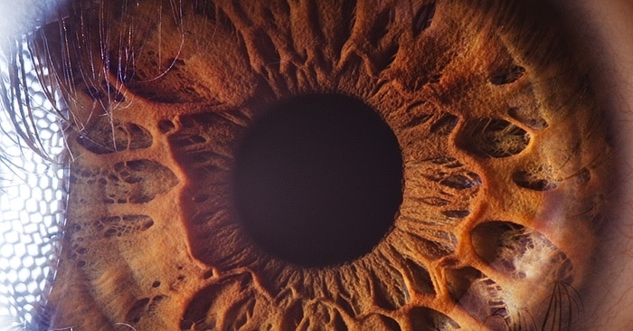 Amazingly Revealing Macro Photos of the Human Eye | My Modern Met