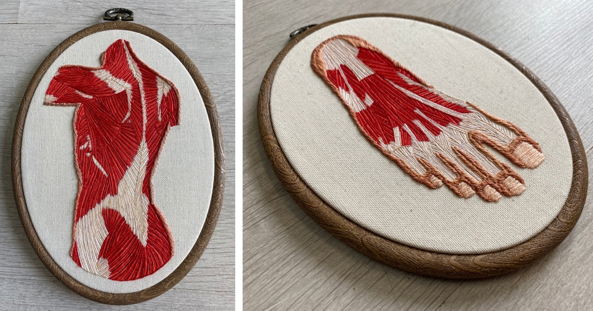 Anatomical Embroideries Offer a Dazzling Look at the Human Body Beneath ...