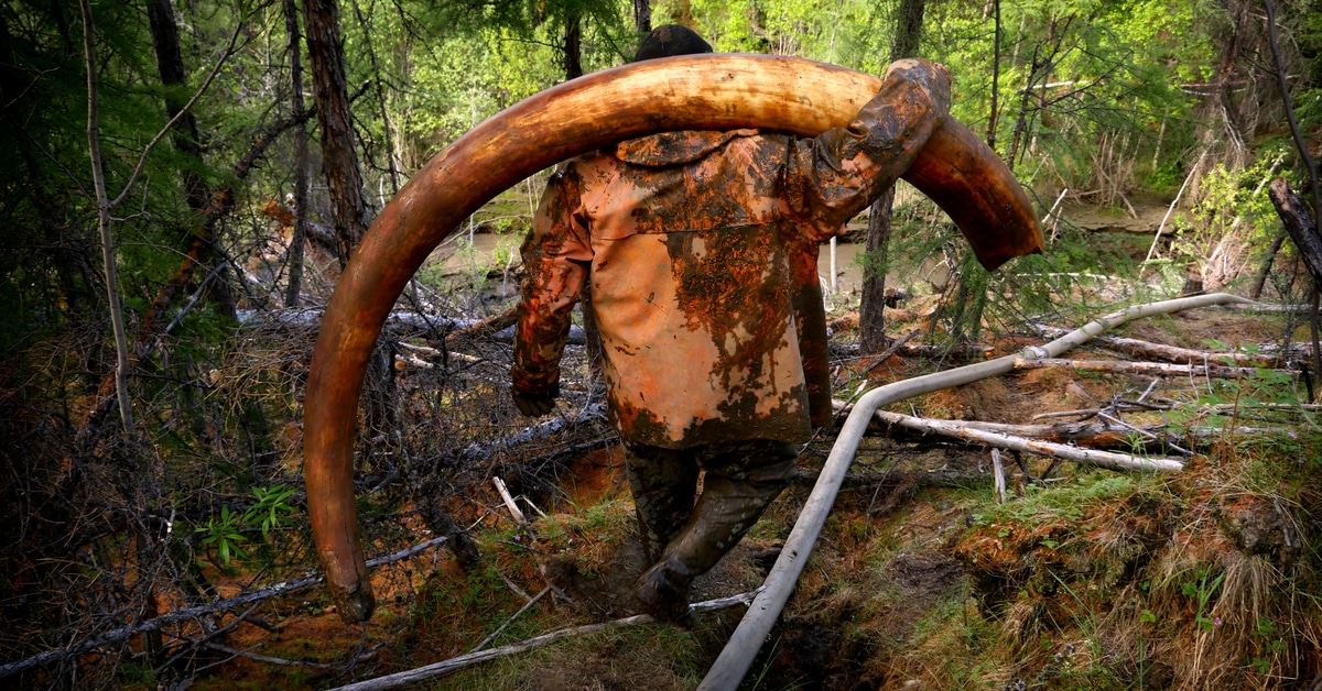 Interview: Photojournalist Follows Siberia’s Risky New Gold Rush by ...