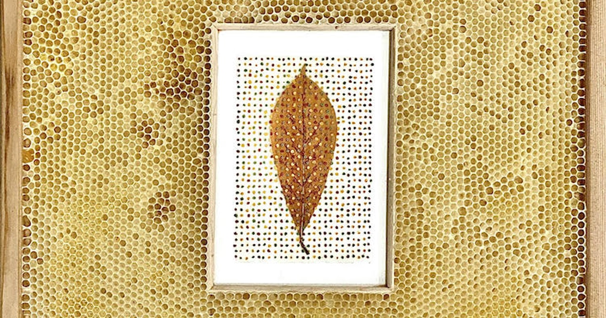 Artist Ava Roth on Creative Curiosity and Her Collaboration With ...