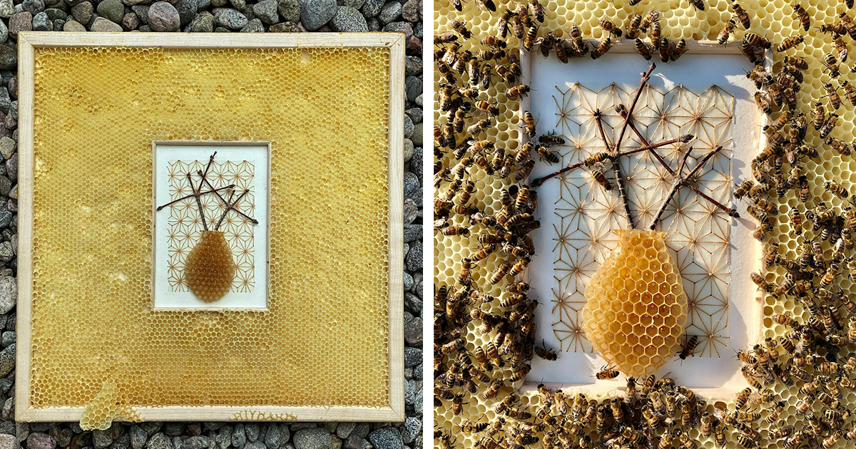 Artist Offers Her Work to Bees for an Unlikely Creative Collaboration ...