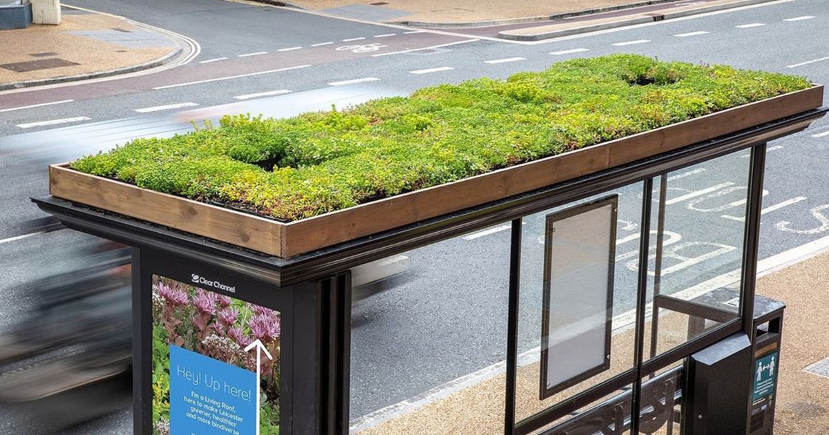 Bus Stops Across Europe Are Getting “Living Roofs” To Help Bees Thrive ...