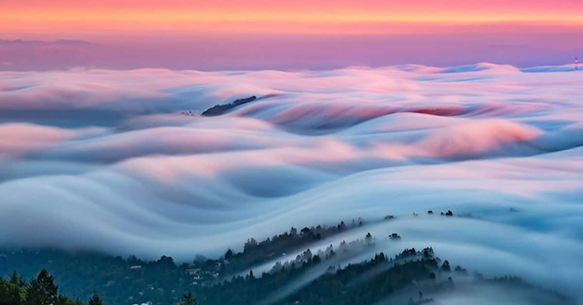 Best of 2016: Top 50 Photographs From Around the World | My Modern Met
