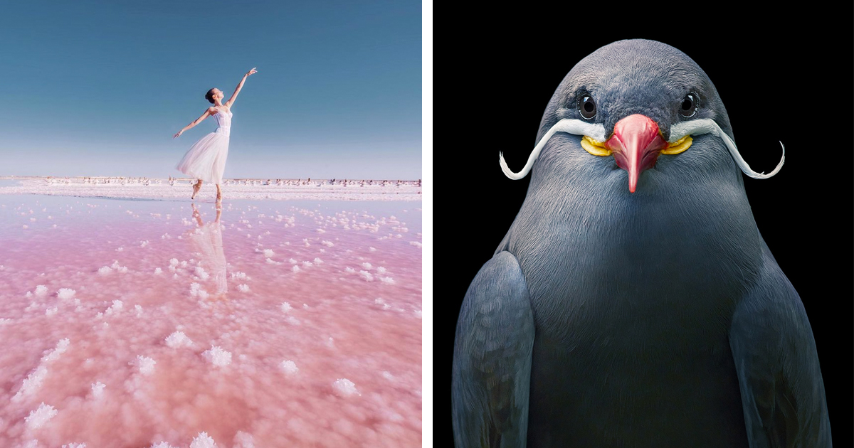 Best of 2020: Top 60+ Photographs From Around the World | My Modern Met