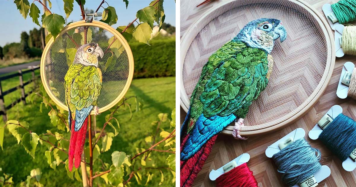 Illusionistic Bird Embroideries Look Like the Creatures Are Perched on a Cage | My Modern Met