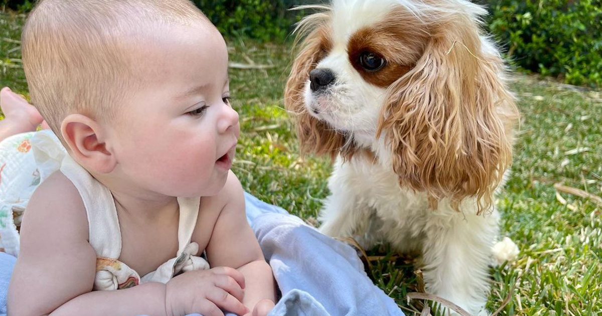 Bindi Irwin Shares Adorable Photo of Baby Grace “Having a Chat” With ...
