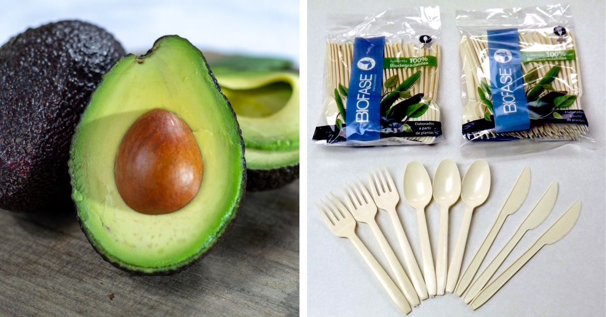 Ingenious Mexican Company Turns Avocado Seeds into Biodegradable Straws ...