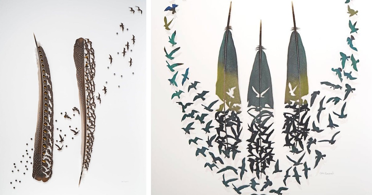 Artist Creates Incredible Bird-Inspired Works From Real Feathers | My ...
