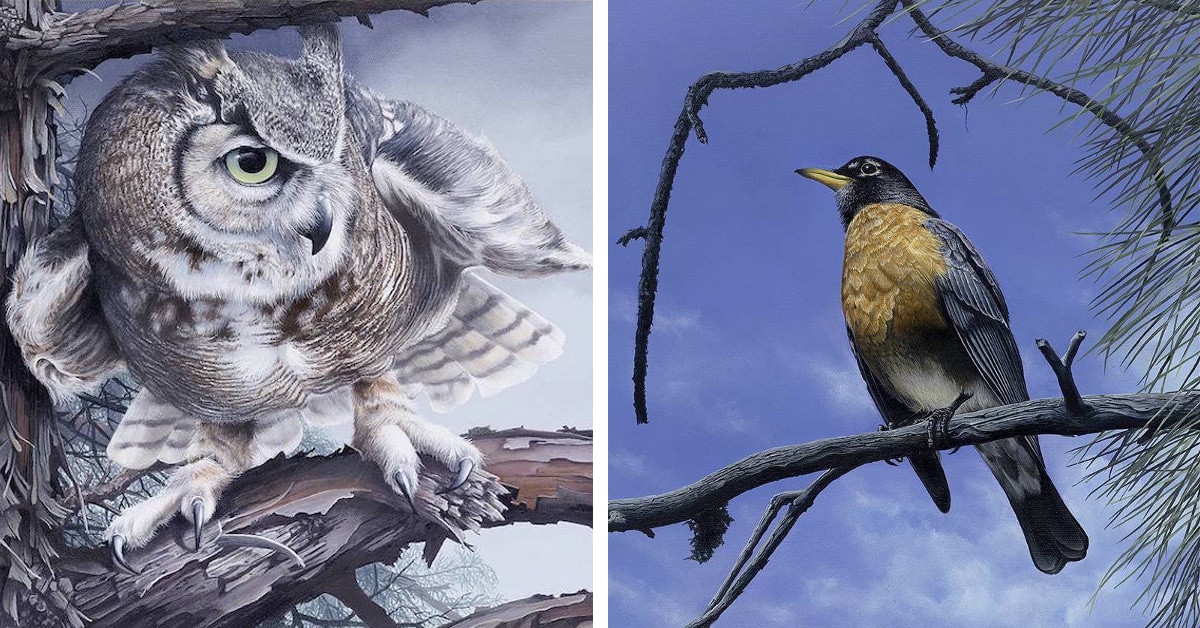 Interview: Oregon Wildlife Painter Captures the Beautiful Diversity of ...