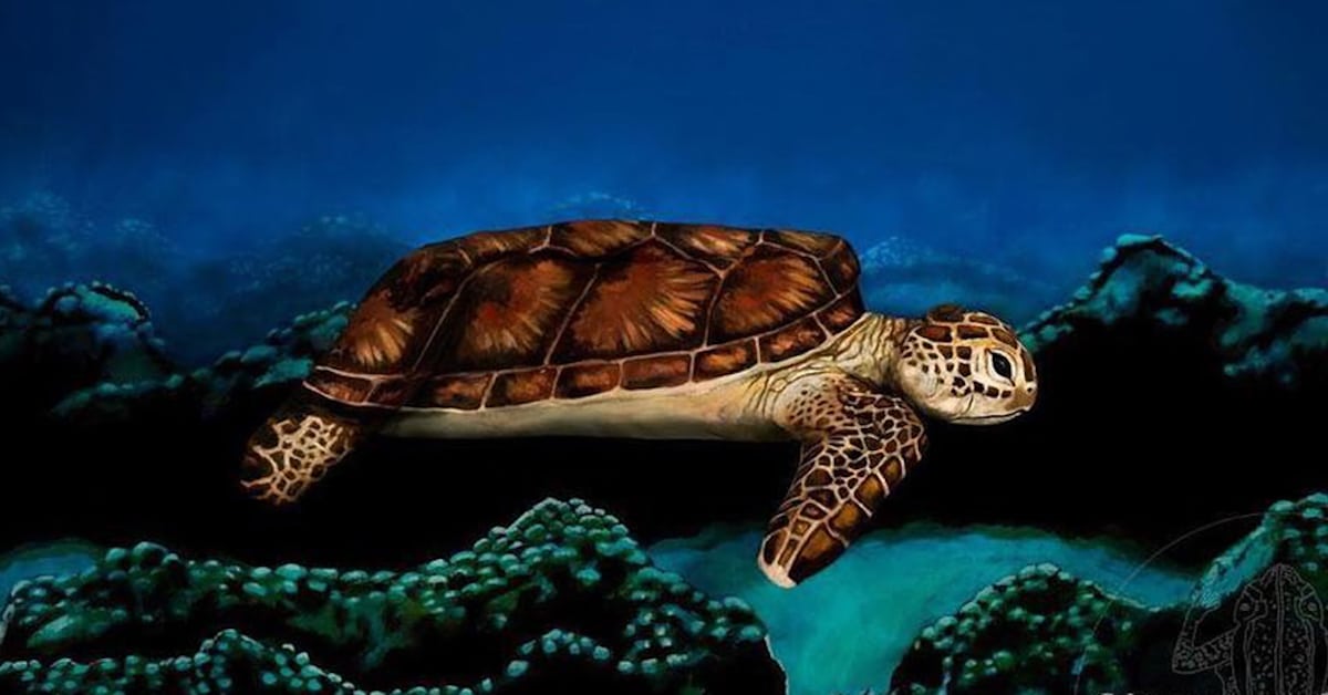 Incredible Bodypainting Disguises Woman as a Swimming Sea Turtle | My ...
