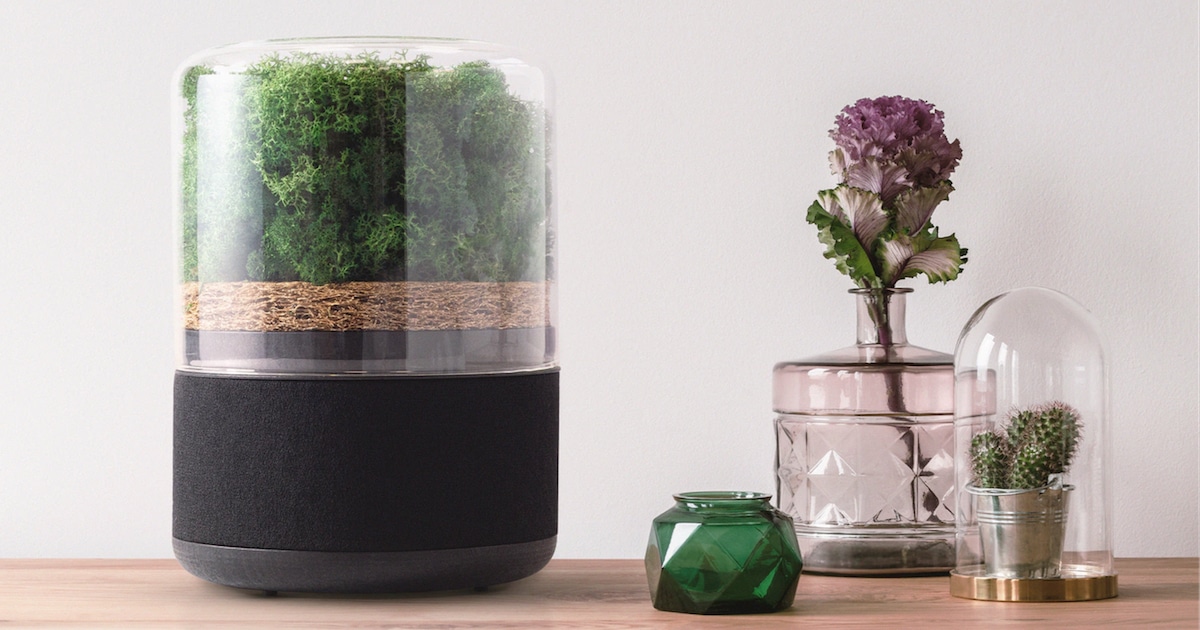 Sleek Air Purifier Uses a Tiny Forest to Sustainably Filter and Clean ...