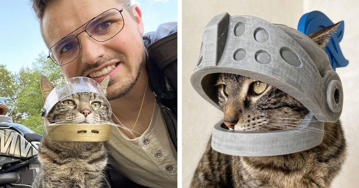 This Guy Designs Custom 3D-Printed Helmets for His Cat and It’s ...
