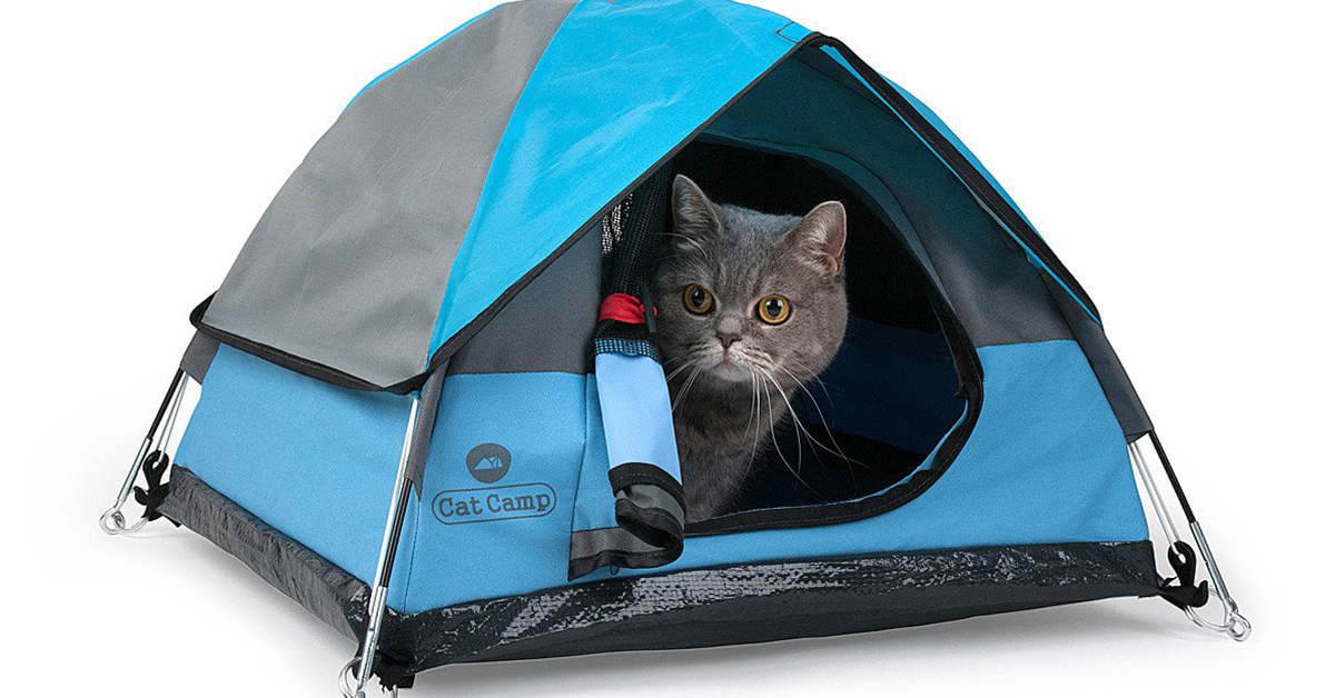 Mini Camping Tents Make Purrfect Hideaways for Adventure Cats | My ...