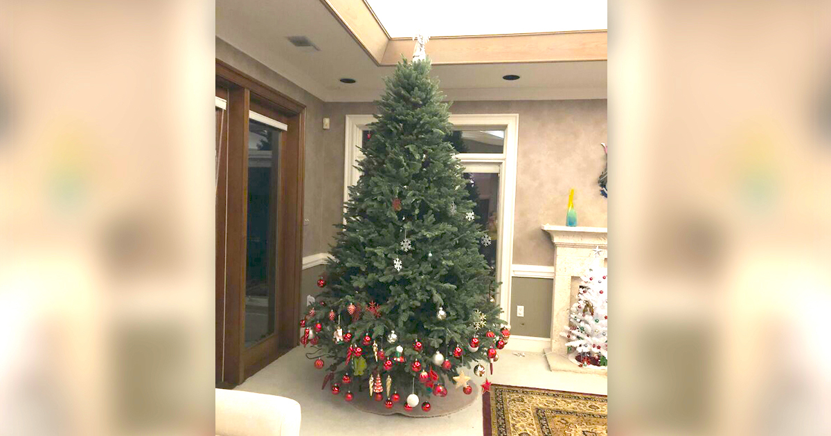 Mom Shares Funny Photo of How Her Toddler Half-Decorated a Christmas ...