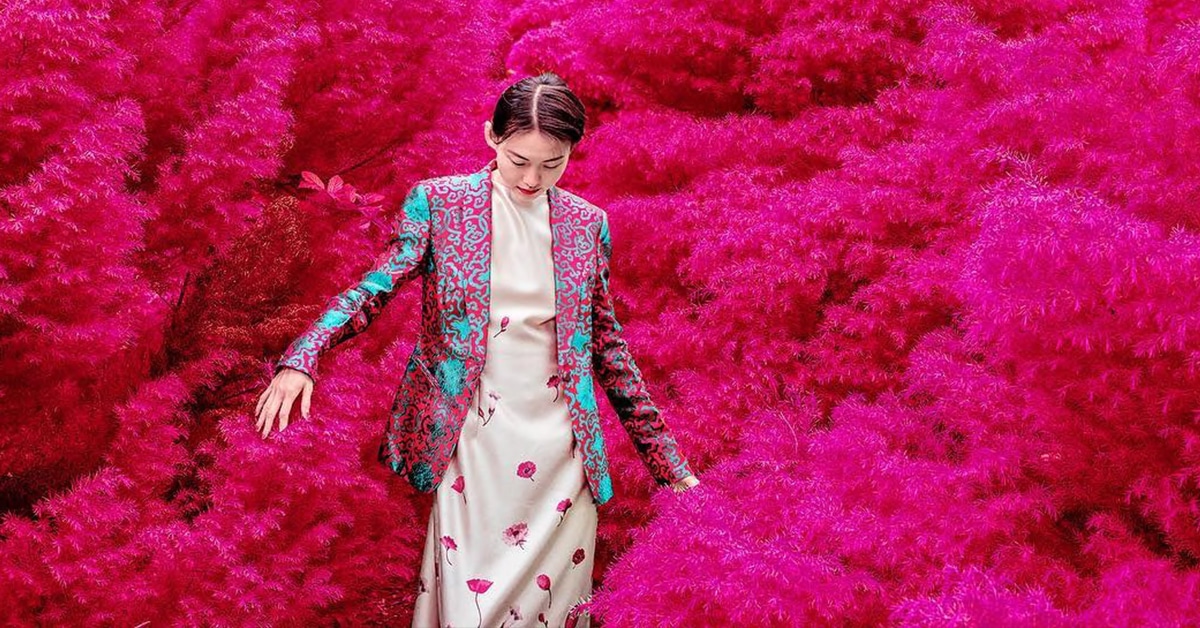 Colorful Cinematic Photos Capture the Vibrancy of an Enchanted Garden ...