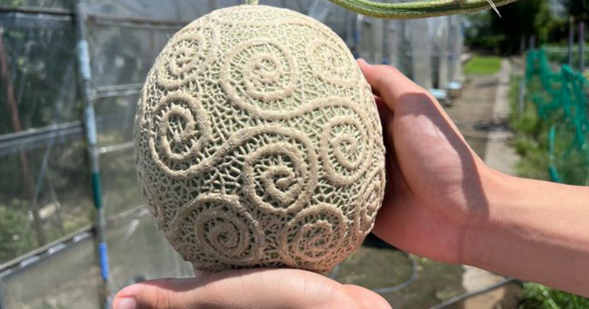 High Schooler Transforms a Melon Into a Real-life “Devil Fruit” From a ...