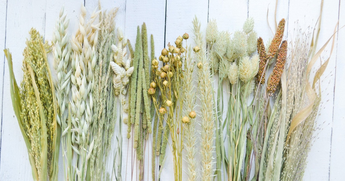 15 Bunches of Dried Flowers To Fill Your Home With Beautiful Blooms ...