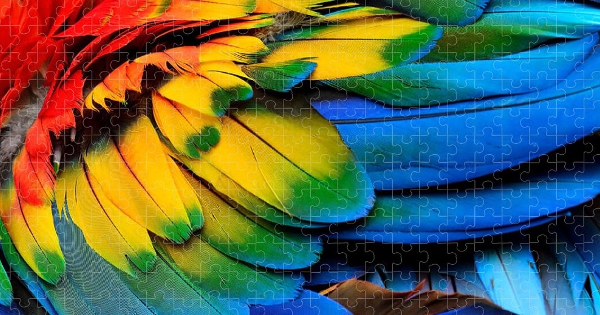 10 Jigsaw Puzzles Designed by Independent Artists | My Modern Met
