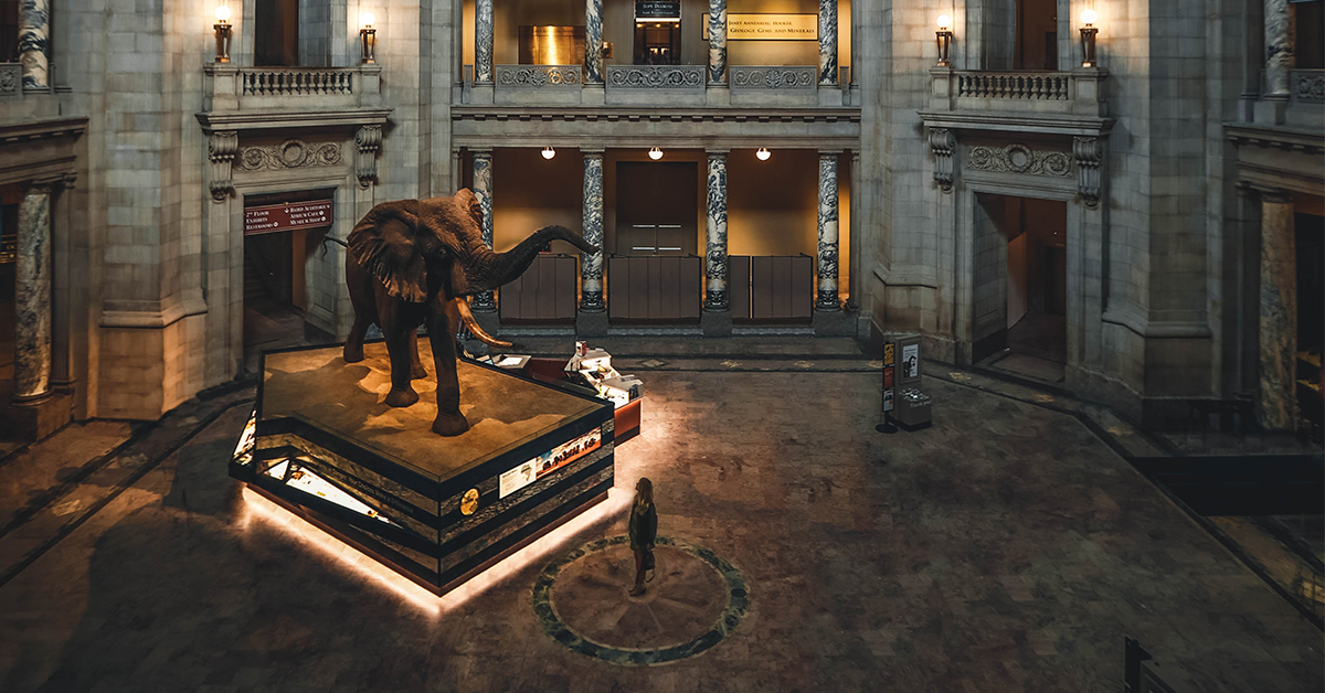 1,200+ Museums Are Giving the Public Free Entry for Museum Day | My ...