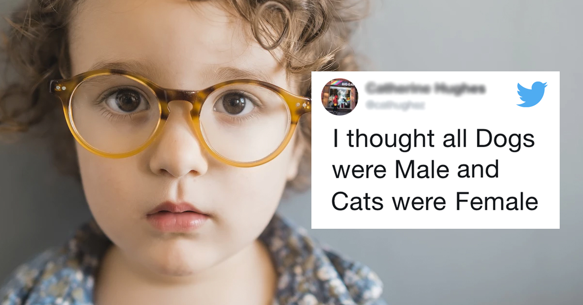 People on Twitter Are Sharing the Absurd Things They Believed as ...