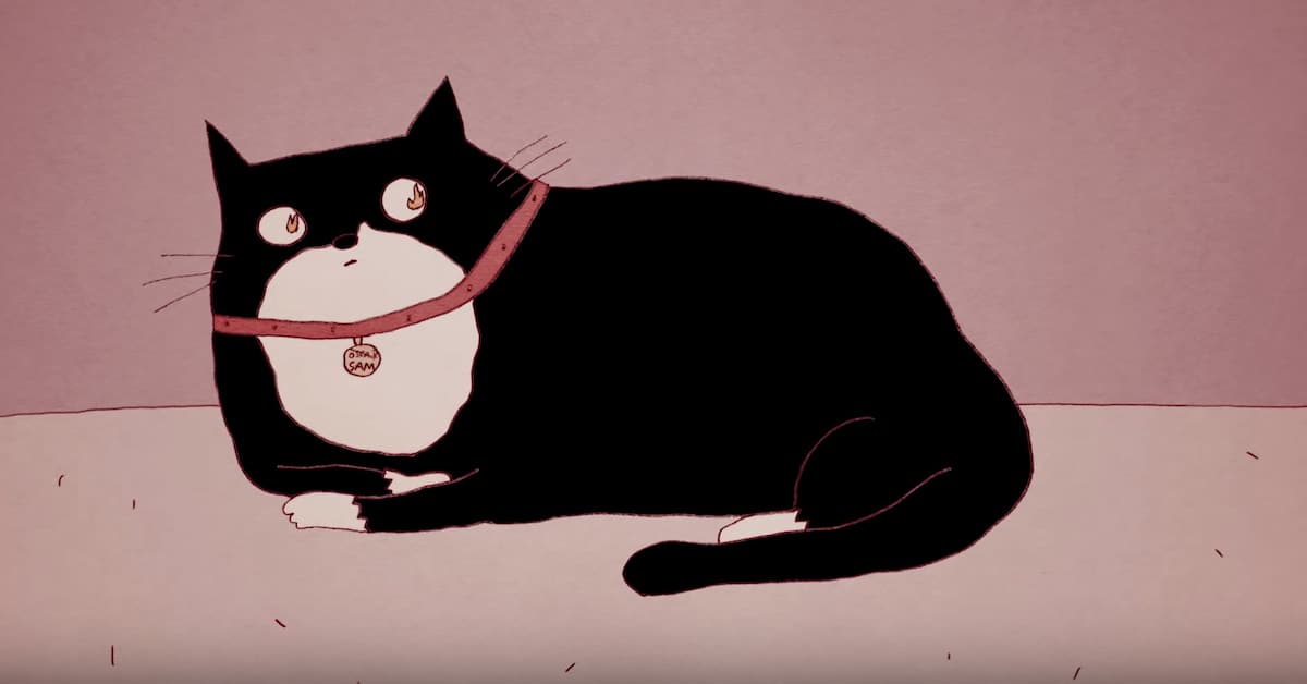 Animation Details the History of Cats, From Wild Hunters to “Sofa ...