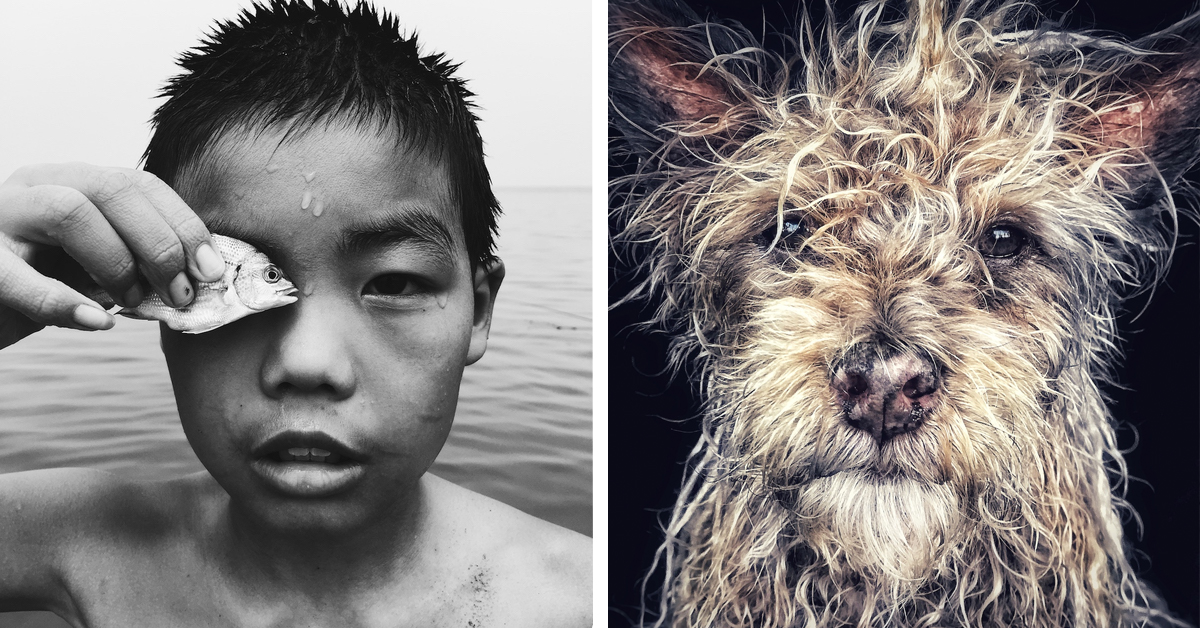 Stunning Winners of the 2018 iPhone Photography Awards | My Modern Met