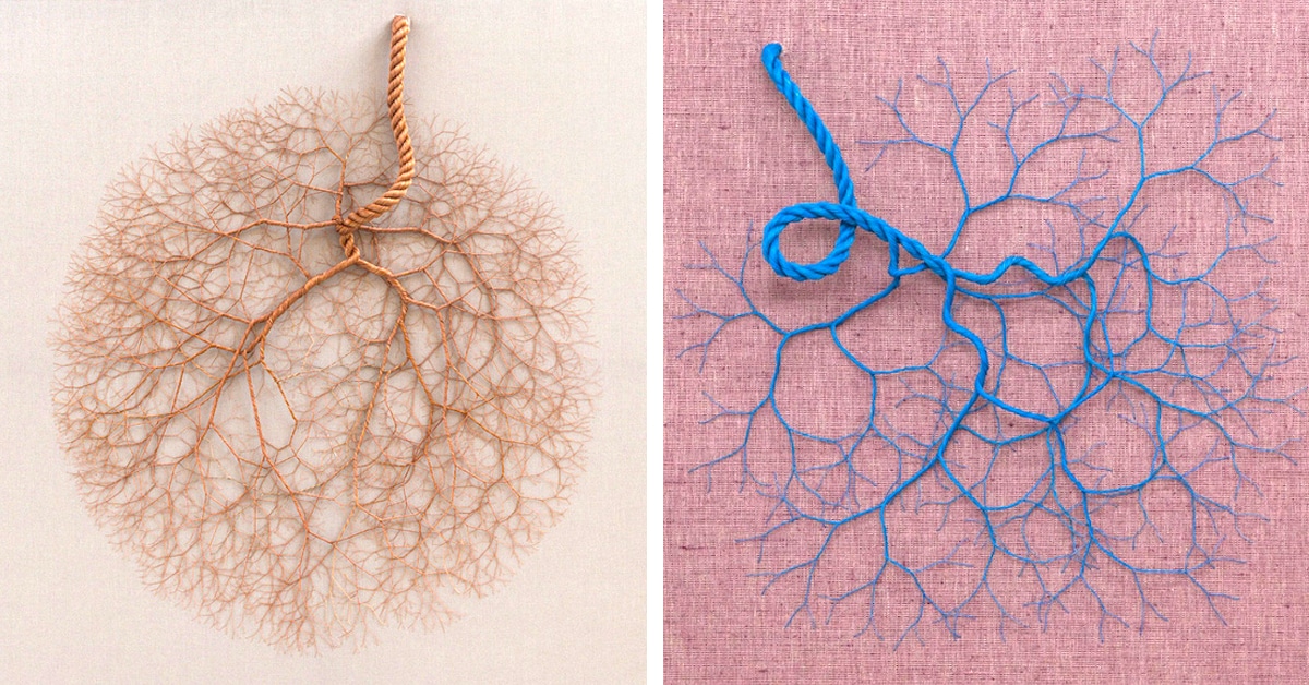 Unraveled Rope Installations Form Delicate Networks of Roots, Branches ...