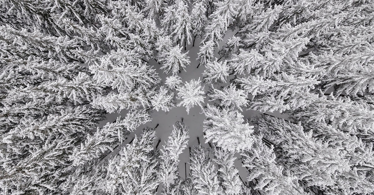 Paraglider Captures Beautiful Aerial Photos of Poland’s Snowy ...