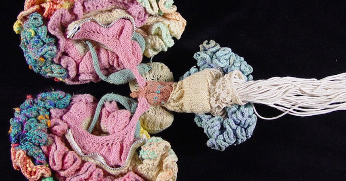 Psychiatrist Hand-Knits an Anatomically Correct Replica of the Human ...