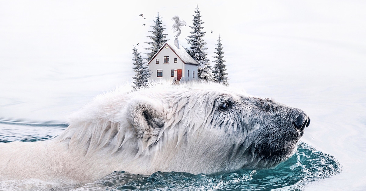 Artist Seamlessly Combines Unexpected Elements in Brilliant Surreal ...