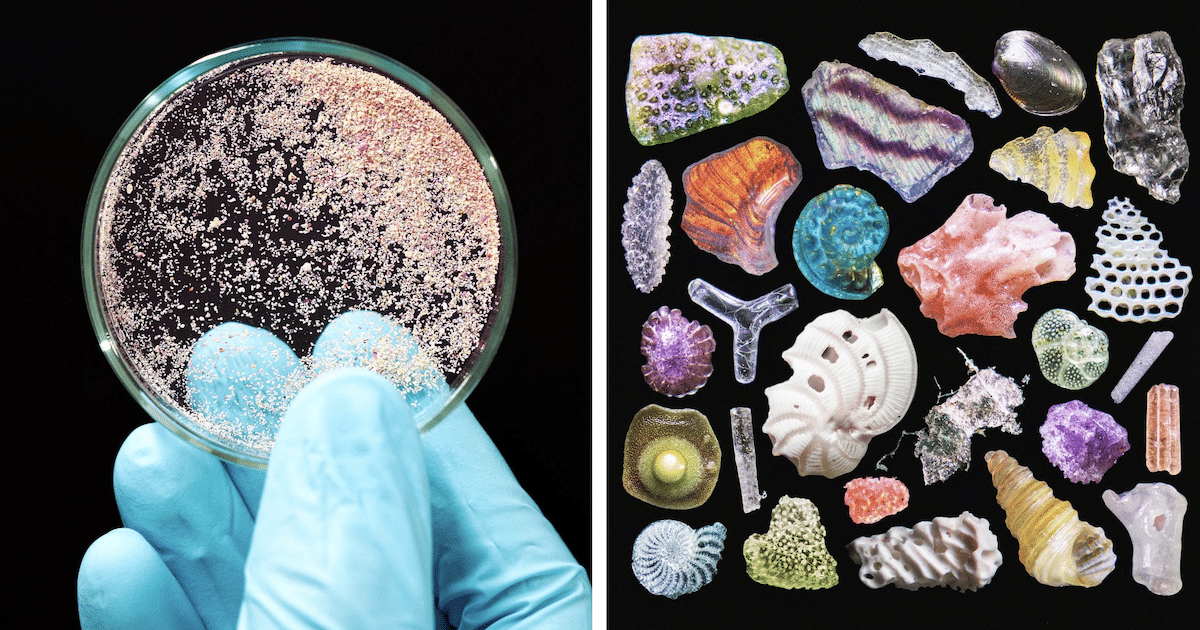 Macro Photographer Zooms in on Beach Sand Under a Microscope | My ...