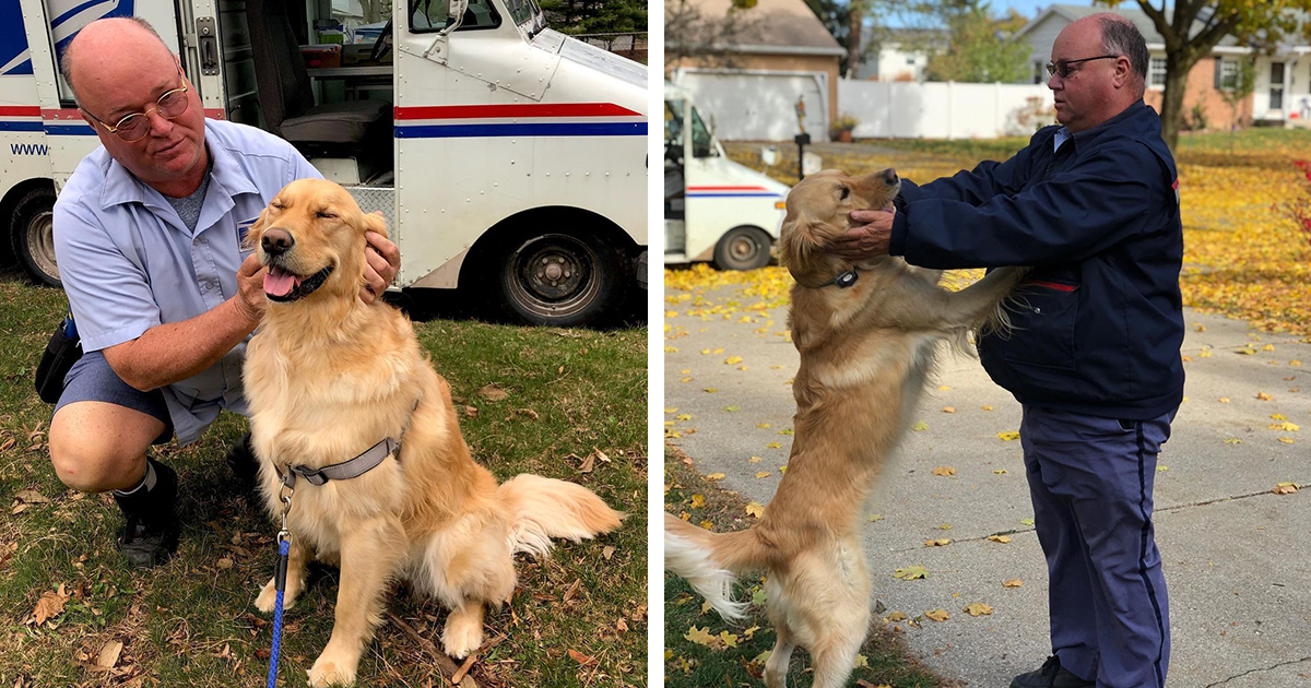 Friendly Golden Retriever Waits Outside Every Day to Hug His Favorite ...