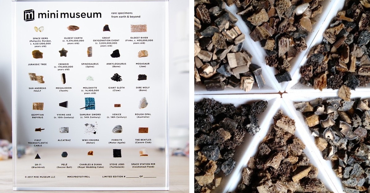 New ‘Mini Museum’ Lets You Display a Quirky Tabletop Gallery at Home ...