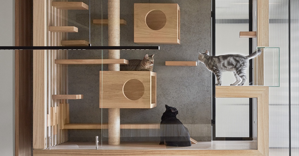 Designers Custom-Build Luxury Lounge Room for Fancy Felines | My Modern Met