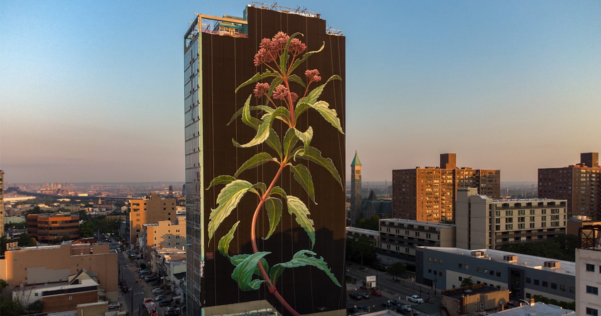 Massive 20-Story Flower Mural Sprouts From Jersey City Skyline | My ...