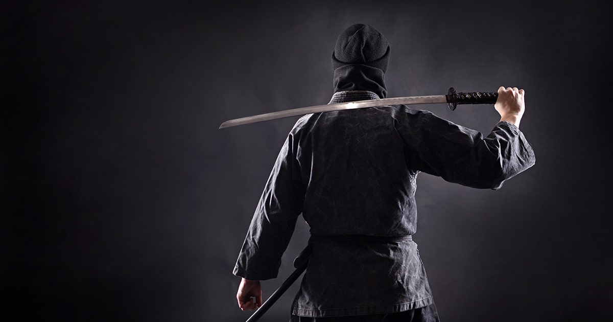 Japanese University Awards the First Ninja Studies Degree in New Program | My Modern Met