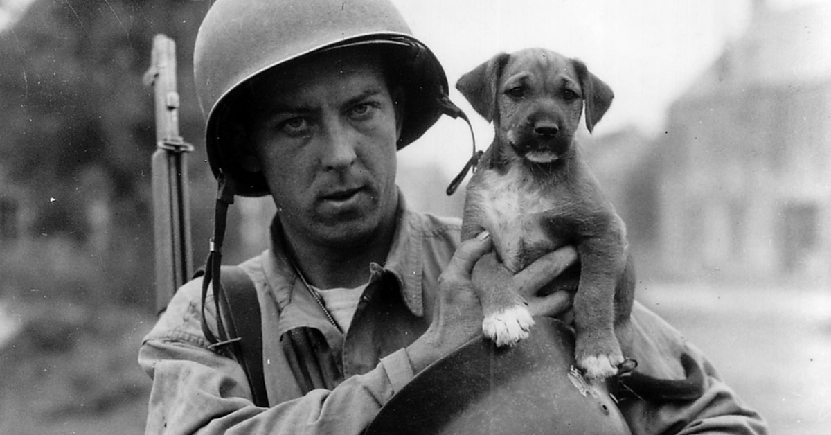 Over 4,300 Vintage Photos From the Invasion of Normandy Are Available ...