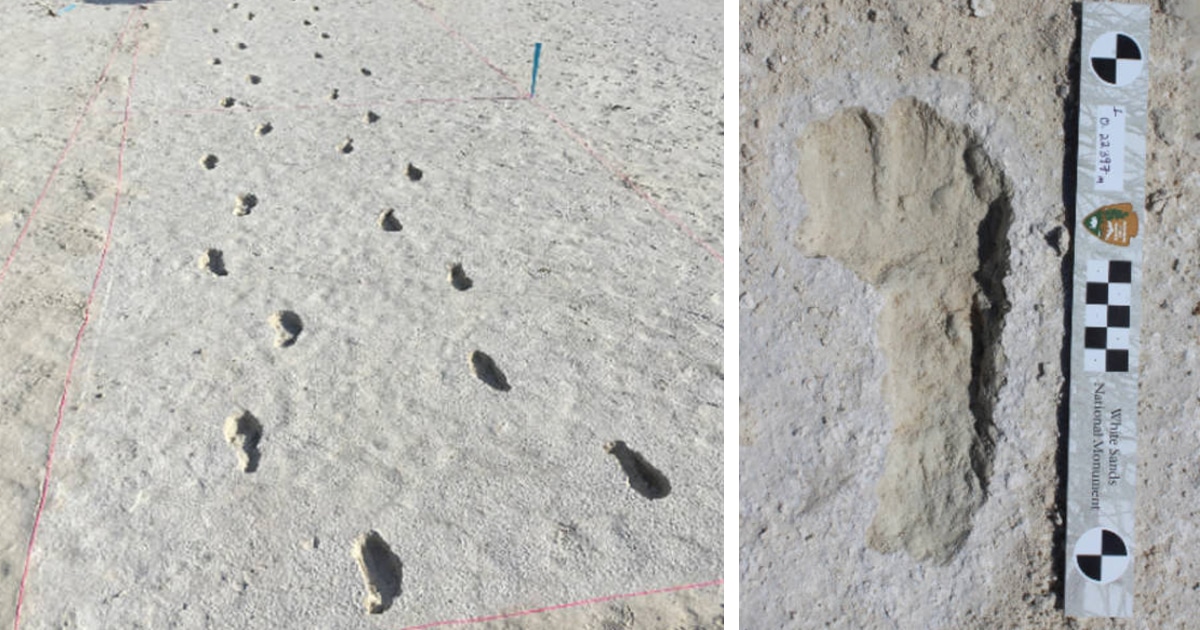 Researchers Discover Fossilized Footprints of First Humans in North ...