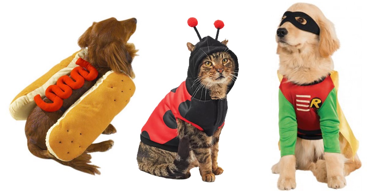 25 Adorable Pet Halloween Costumes for Your Favorite Dog or Cat | My ...