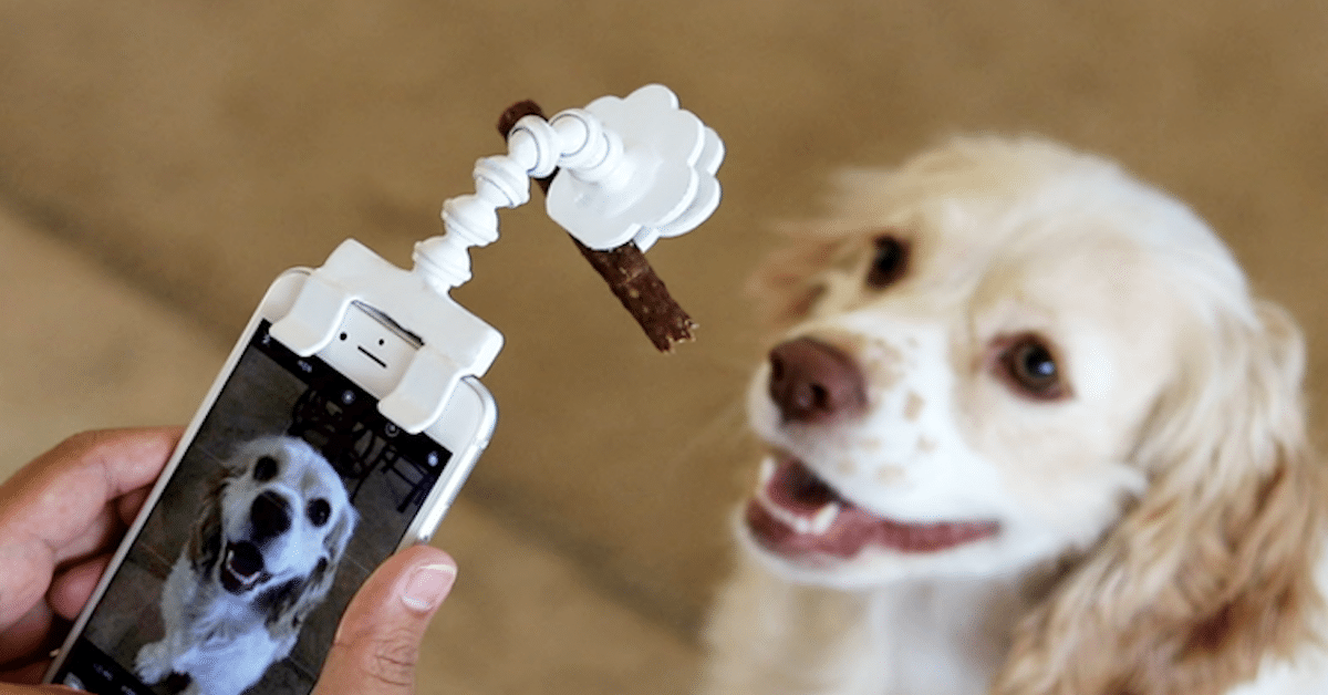 Smartphone Treat Holder Easily Attaches to Phone to Help Capture Great ...