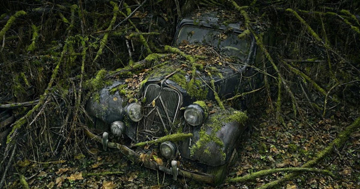 Hauntingly Beautiful Photos of Deserted Cars Enveloped by Nature | My ...
