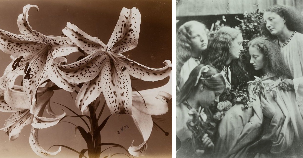 New Digital Archive Features Over 2 Million Photos from the First 100 ...