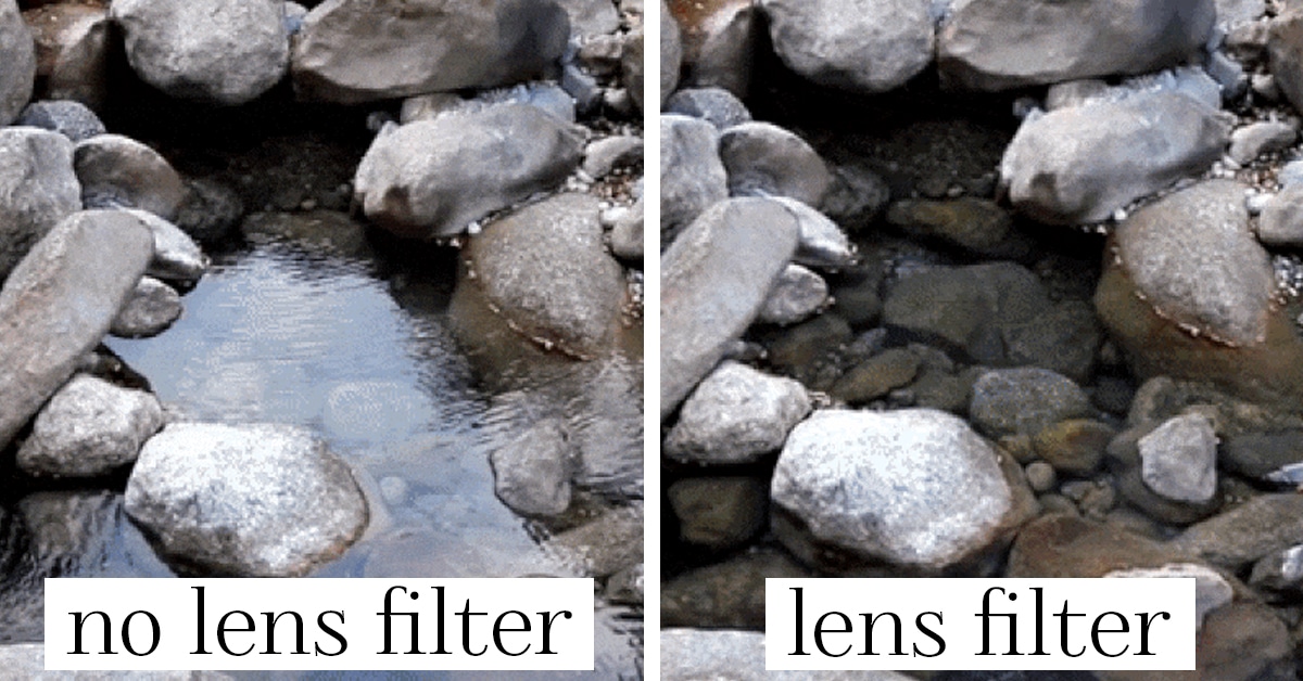 Free Photography Tutorial Explores the Magic of Polarizing Lens Filters ...