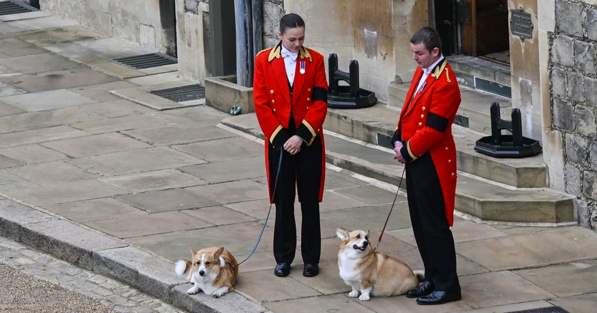The Queen’s Corgis and Horses Say Their Last Goodbye to the Historic ...