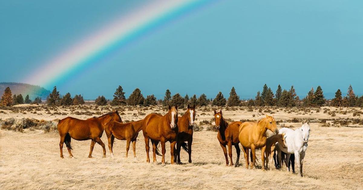 Traveling Photographer Captures Dreamy Landscapes Around the World | My ...
