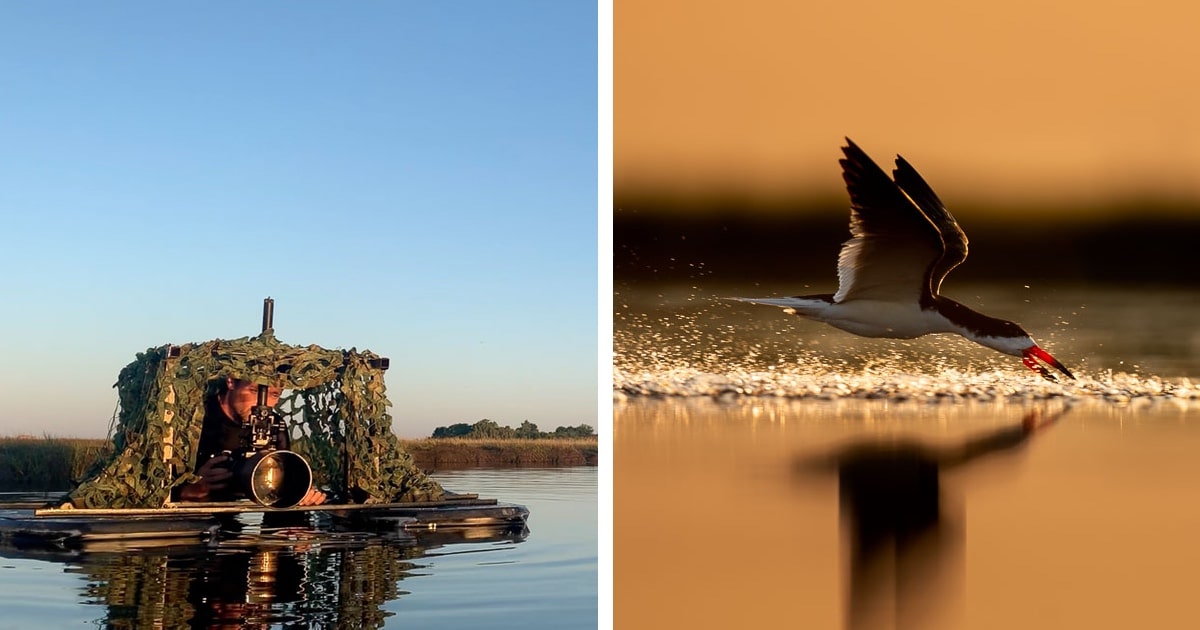 Photographer Builds His Own Floating “Bird Hide” To Go Incognito in the ...