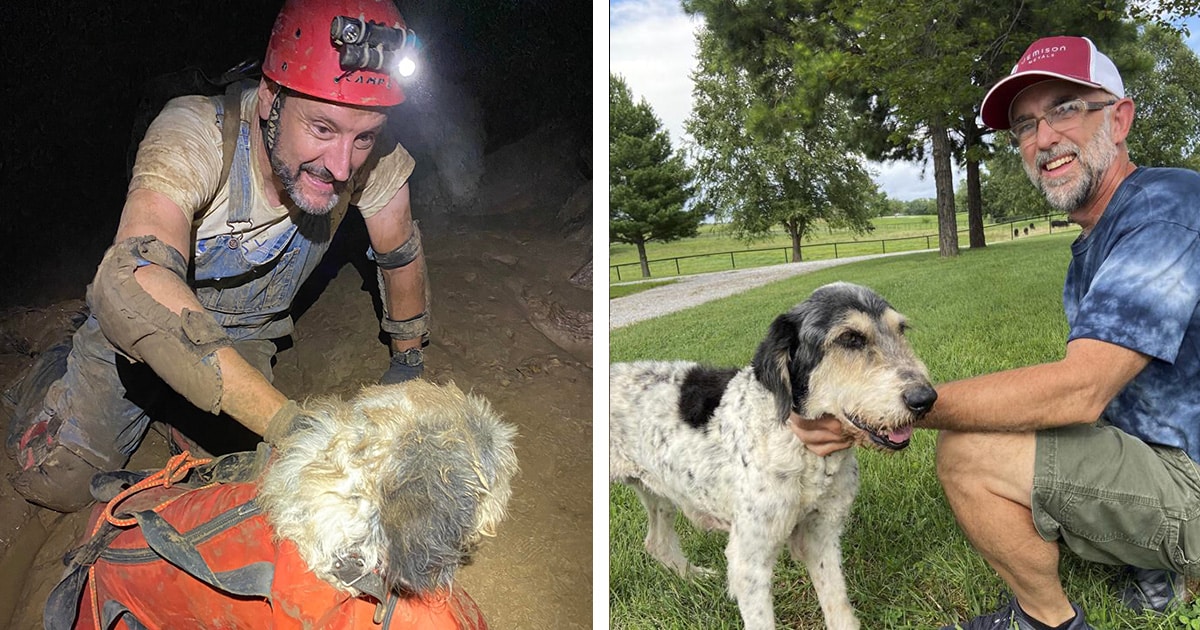Missing Senior Dog Found Alive 500 Feet Deep Down in a Cave Two Months ...