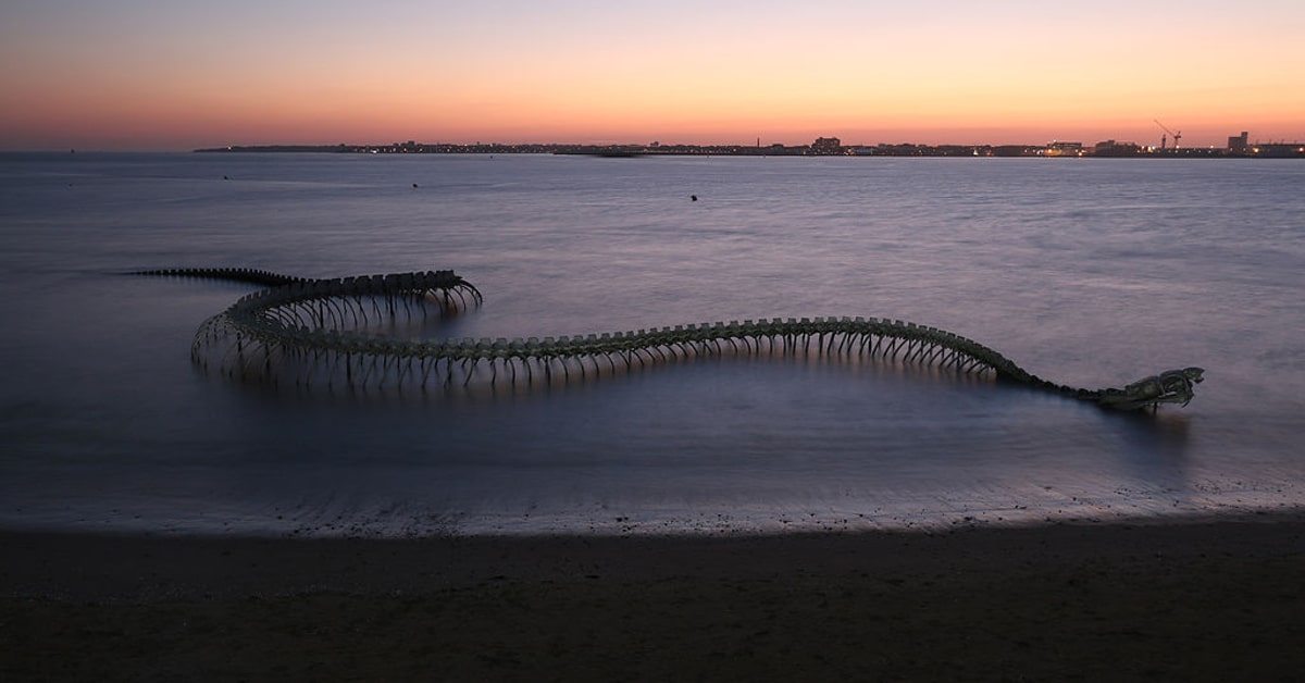 Giant Serpent Emerges From the Sea Off the Coast of France | My Modern Met