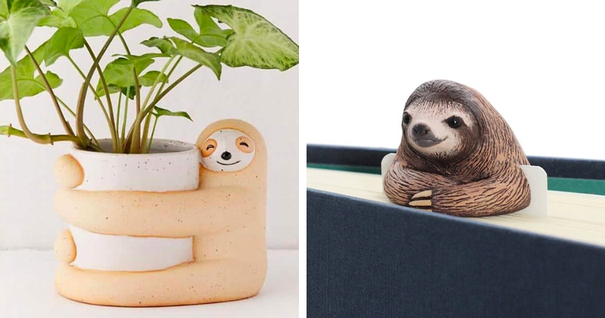 20 Easy-Going Gift Ideas for Anyone That Loves Sloths | My Modern Met