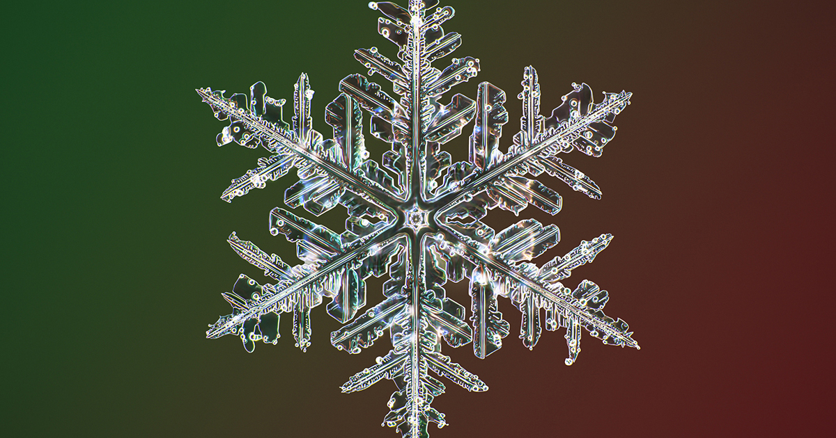 Photographer Crafts Special Camera To Capture Delicate Snowflakes in ...